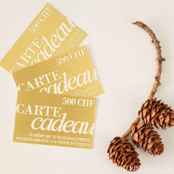 Gift Card towards a photo shoot – LunaCat Studio Photographie